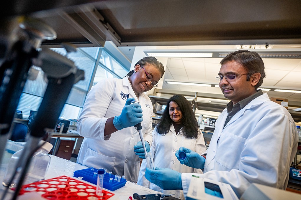 January 2024: Diana Asante – African Female Researcher of the Month ...