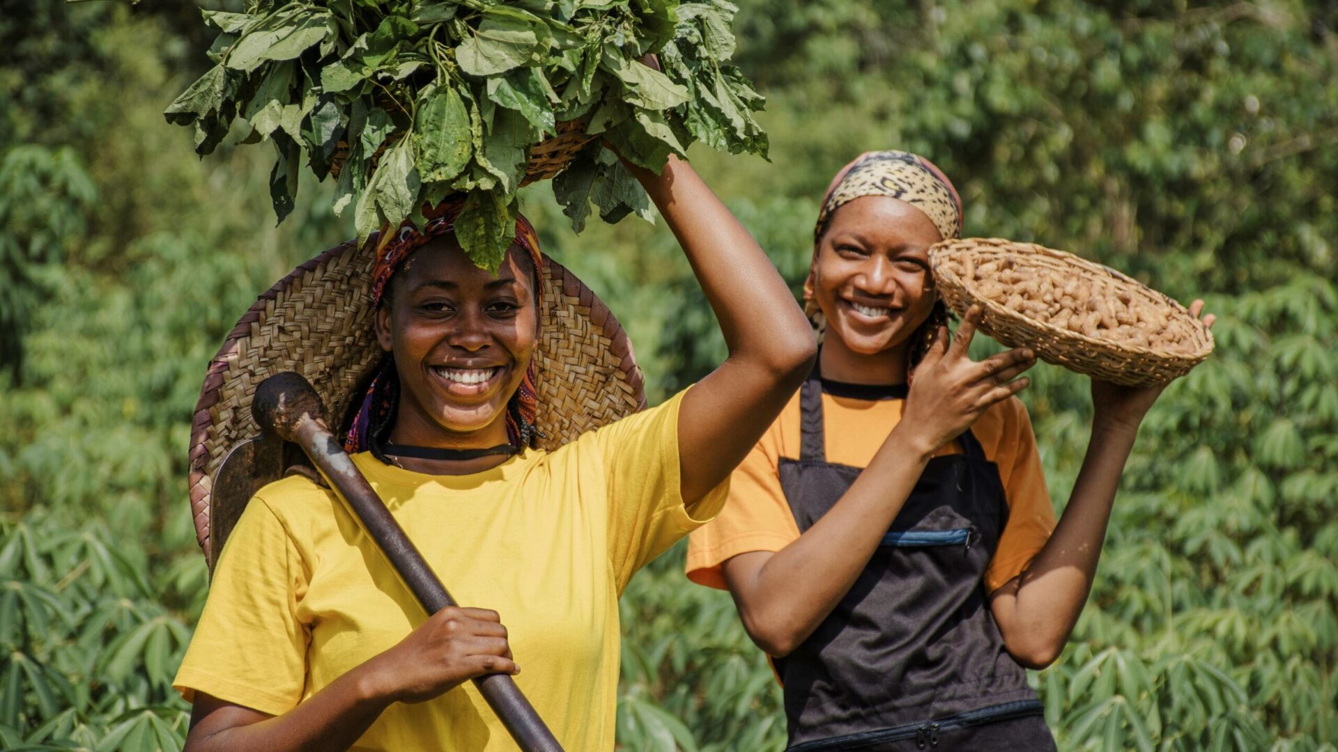 Empowering African Women and Youth in Agriculture: Insights from CABI's ...