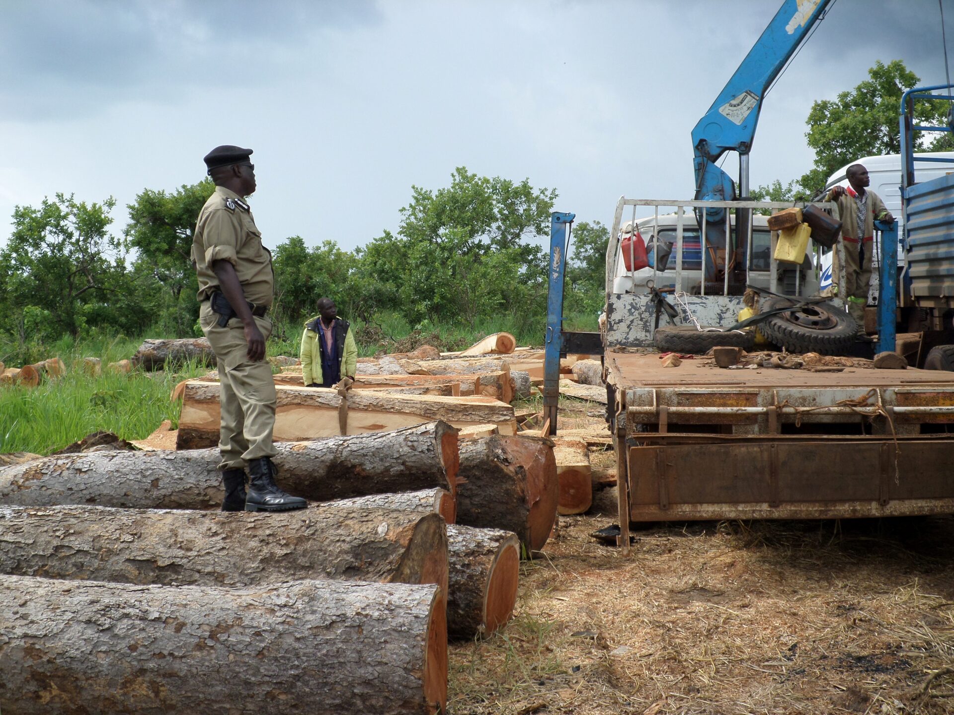 Sustainable Wood-Based Value Chains in Uganda: FAO and EU Launch €15M ...